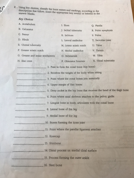 Solved Using key choice, identify the bone names and | Chegg.com
