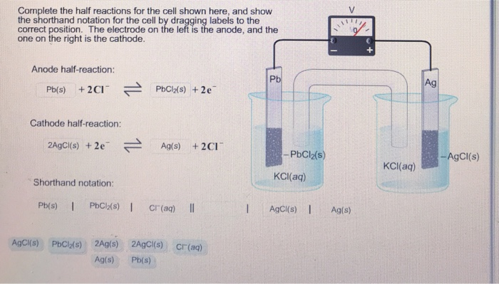 Solved Complete the half reactions for the cell shown here, | Chegg.com