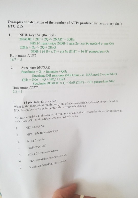 Solved Examples of calculation of the number of ATPs | Chegg.com