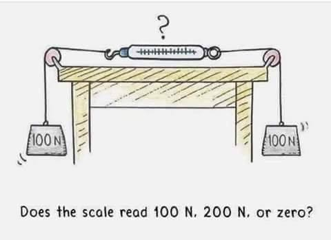 Solved 00N 100 N Does the scale read 100 N. 200 N, or zero? | Chegg.com