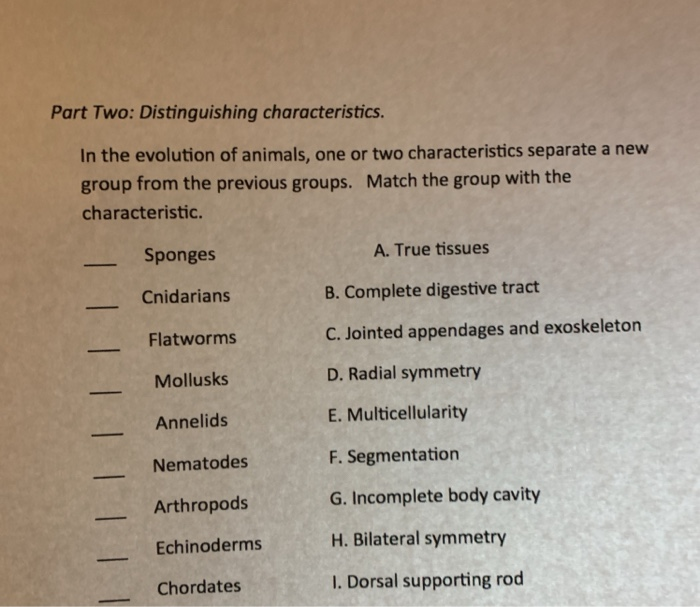 Solved Part Two: Distinguishing characteristics. In the | Chegg.com