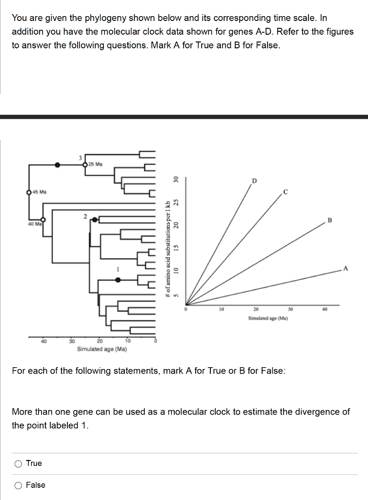 Solved You are given the phylogeny shown below and its | Chegg.com
