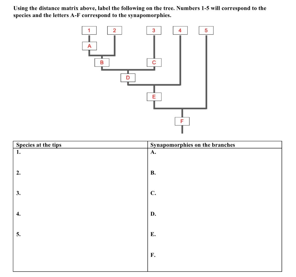 Solved 5. Construct a phylogeny with a distance matrix. Use | Chegg.com