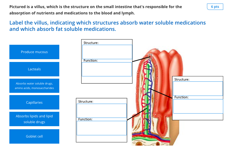 Solved Pictured is a villus, which is the structure on the | Chegg.com