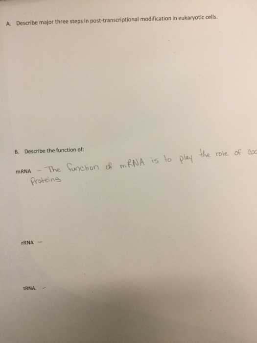 Solved Describe major three steps in post-transcriptional | Chegg.com