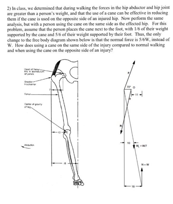 Solved In class, we determined that during walking the | Chegg.com