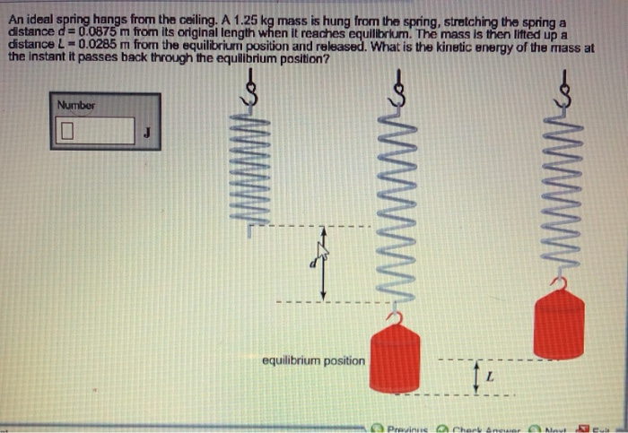 Solved An ideal spring hangs from the ceiling. A 1.25 kg | Chegg.com