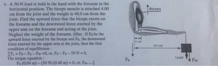 Solved A 50-N load is held in the hand with the forearm in | Chegg.com