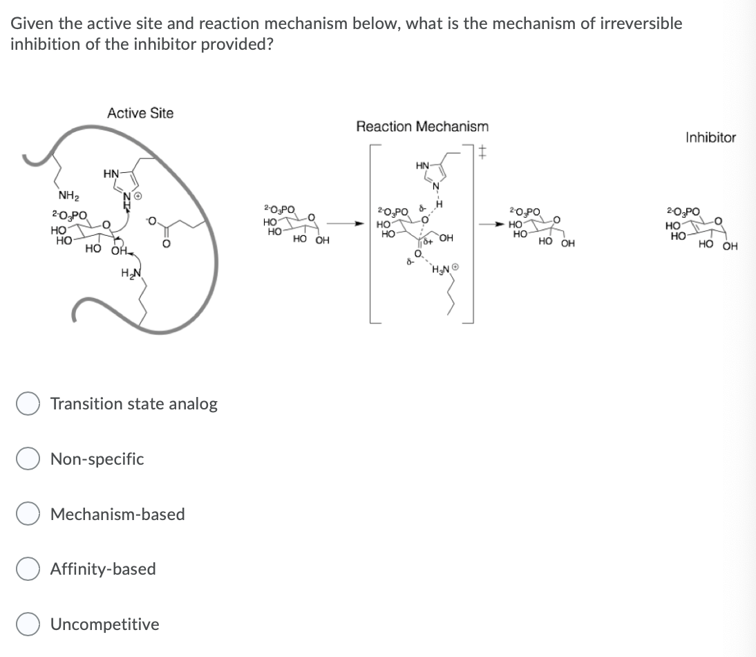 Solved Given the active site and reaction mechanism below, | Chegg.com