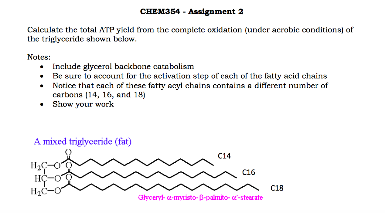 Solved CHEM354 - Assignment 2 Calculate the total ATP yield | Chegg.com