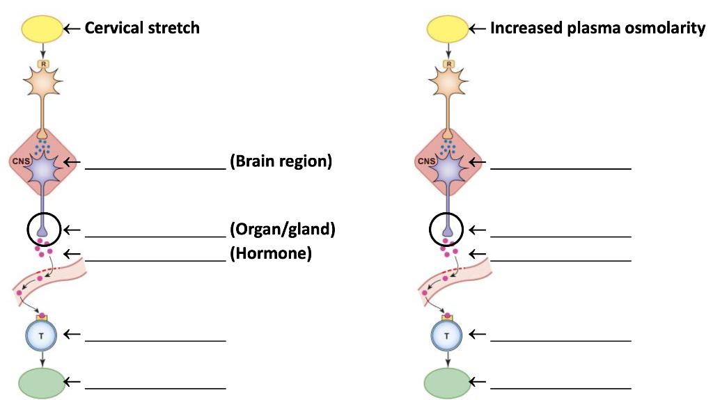 Solved olarity | Chegg.com