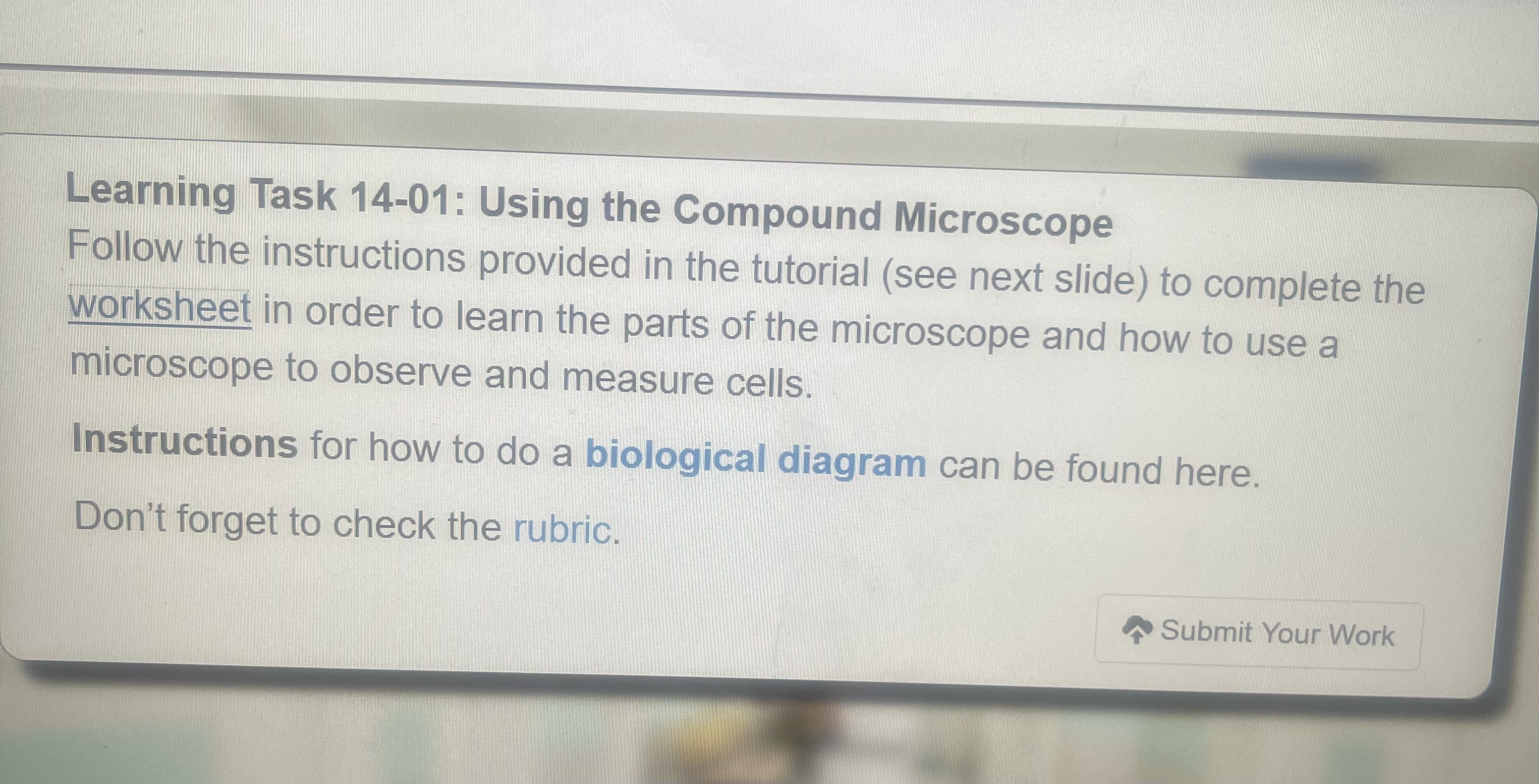 Solved Prepared slides of plant and animal cells Procedure: | Chegg.com