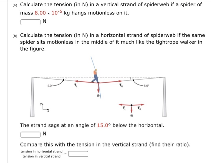 Solved Calculate the tension (in N) in a vertical strand of | Chegg.com