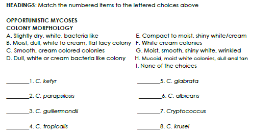 Solved HEADINGS: Match the numbered items to the lettered | Chegg.com