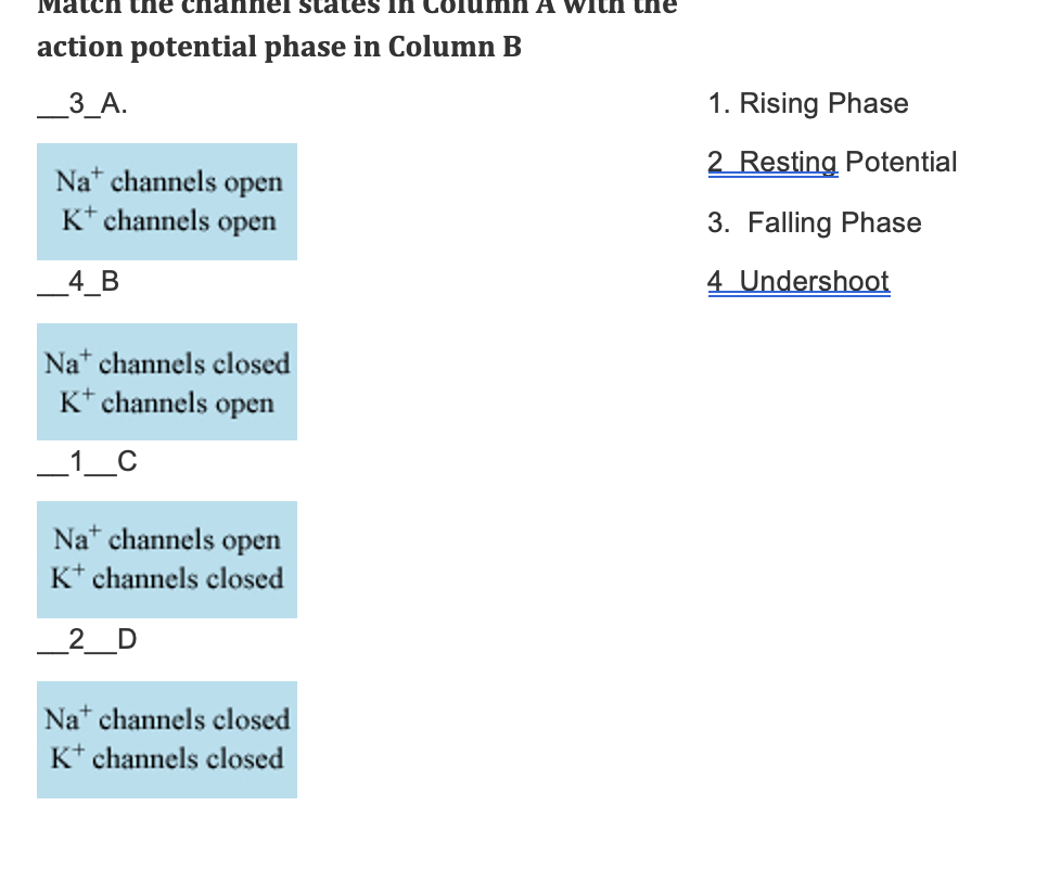 Solved action potential phase in Column B3_A.Na+channels | Chegg.com