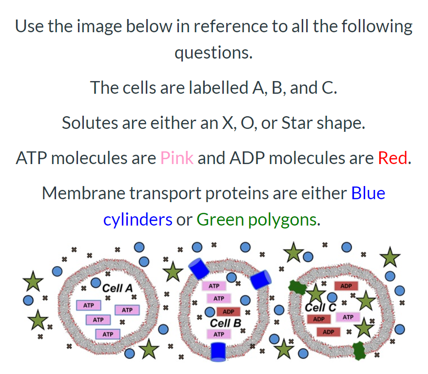 Solved Use the image below in reference to all the following | Chegg.com
