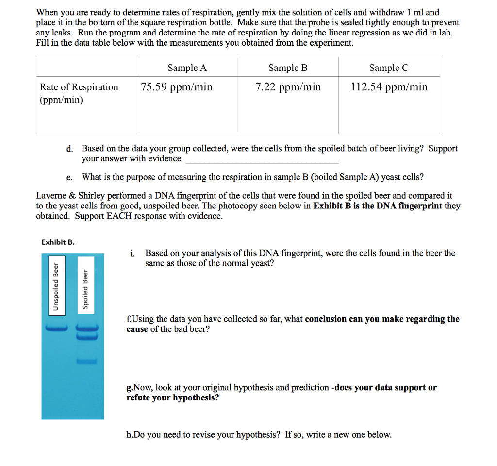Solved THE MYSTERIOUS CASE OF THE SPOILED BEER! Scenario: | Chegg.com