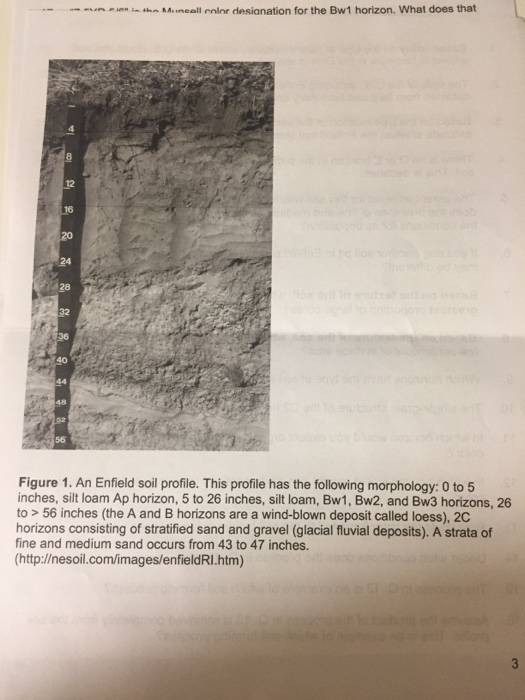 Solved Table 1. Abridged official description of an Enfield | Chegg.com