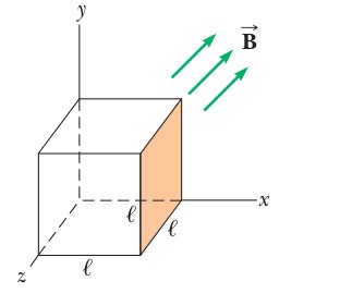 Solved Un cubo con aristas de longitud 2.50cm se coloca como | Chegg.com