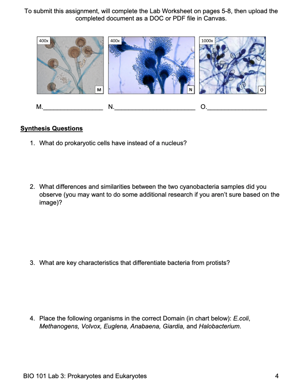 Solved To submit this assignment, will complete the Lab | Chegg.com