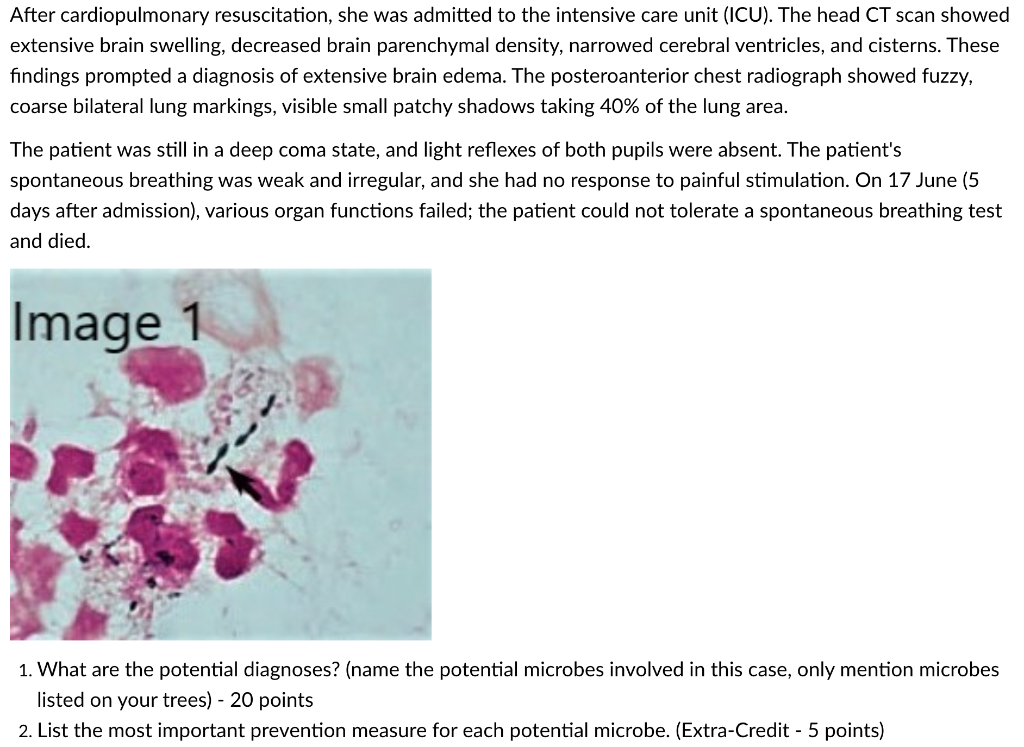 solved-your-patient-is-a-62-year-old-woman-she-had-a-chegg
