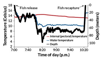 Solved Several years ago, the opah fish was hailed as the | Chegg.com