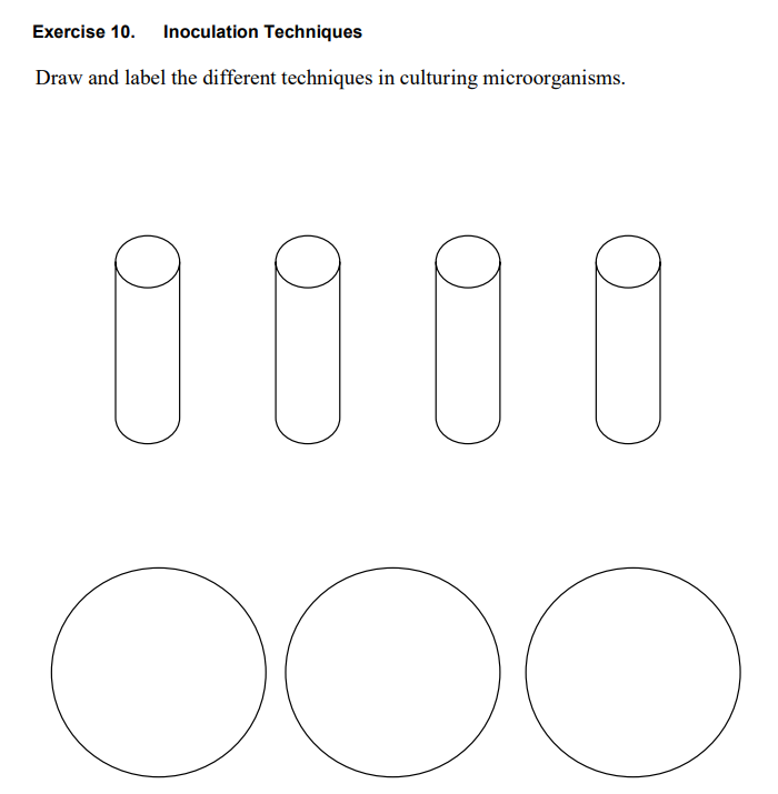 Solved Exercise 10. Inoculation Techniques Draw and label | Chegg.com