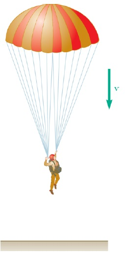 Solved A parachutist is in free fall at a rate of 200 km/h | Chegg.com