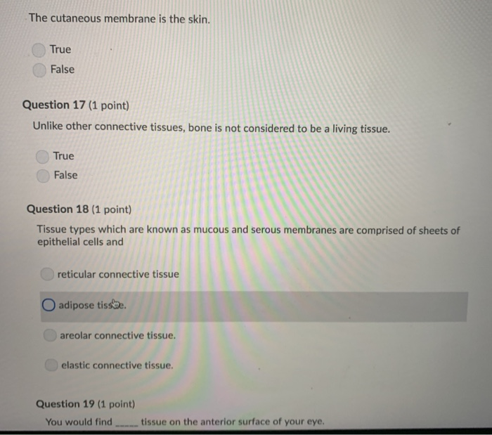 What Is The Cutaneous Membrane
