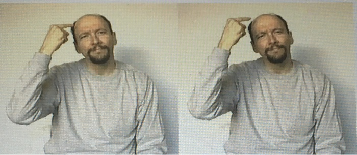 Sign Language Patting Head