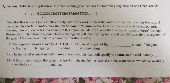 Solved Questions 16-18: Reading frames. A protein coding | Chegg.com