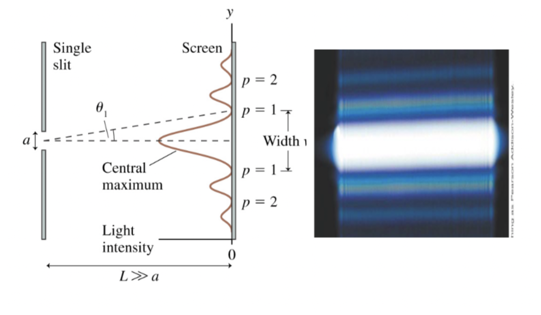 Solved [Q12.1] Single-slit interference 1. Assume that you | Chegg.com