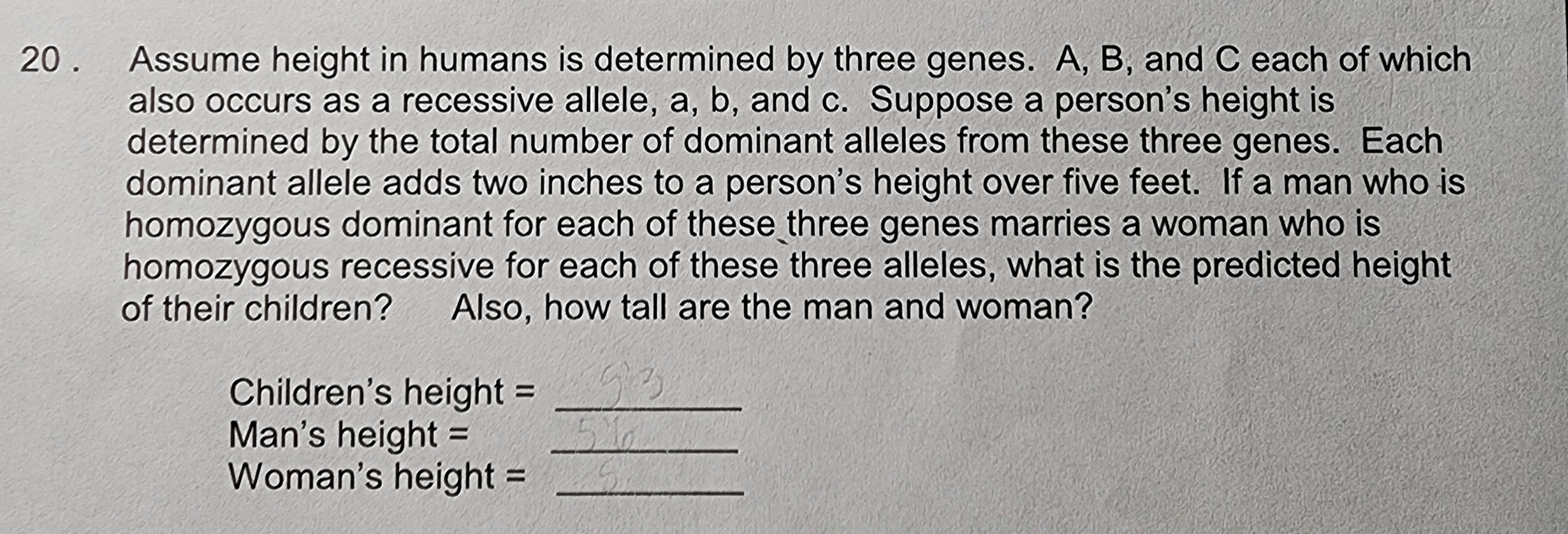 Solved Assume height in humans is determined by three genes. | Chegg.com