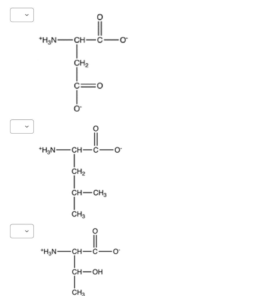 Solved Ranking amino acids from most to least | Chegg.com