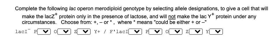 Solved Complete the following lac operon merodiploid | Chegg.com