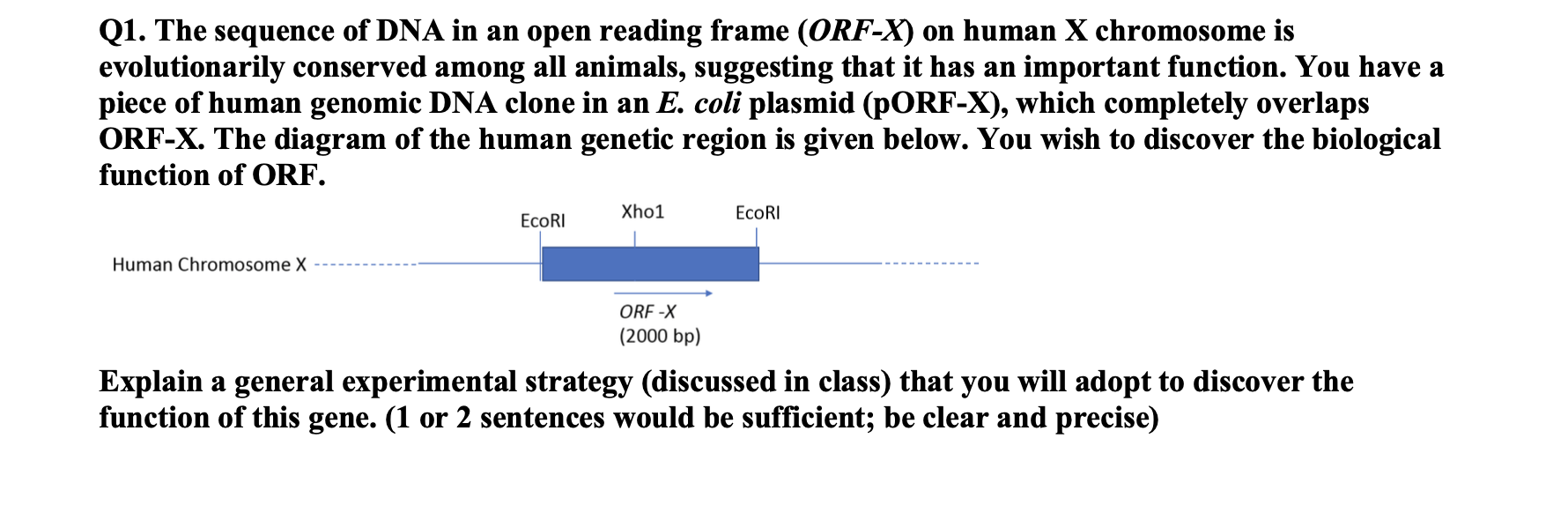 Solved Q1. The sequence of DNA in an open reading frame | Chegg.com