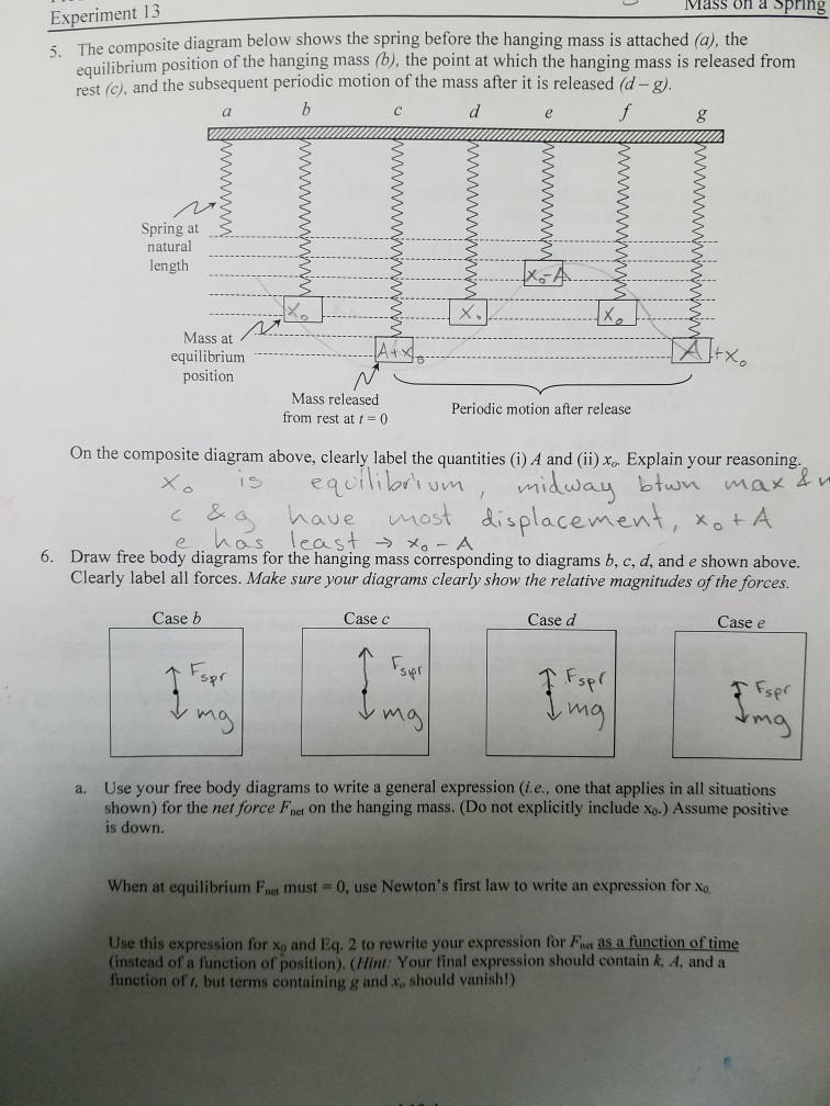 Solved vMass on a Spring Experiment 13 5. The composite | Chegg.com