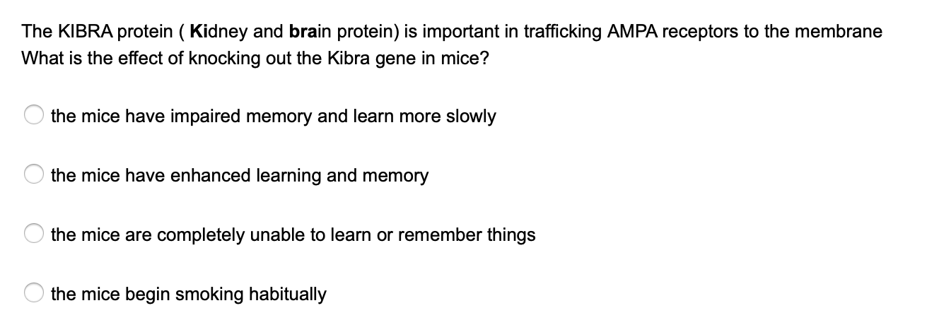 Solved The KIBRA protein ( Kidney and brain protein) is | Chegg.com
