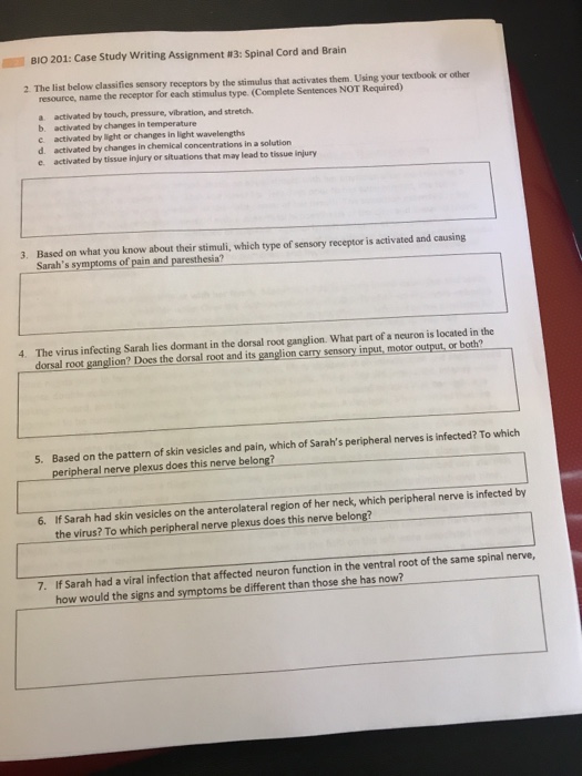 Solved BIO 201: Case Study writing Assignment # 3: Spinal | Chegg.com