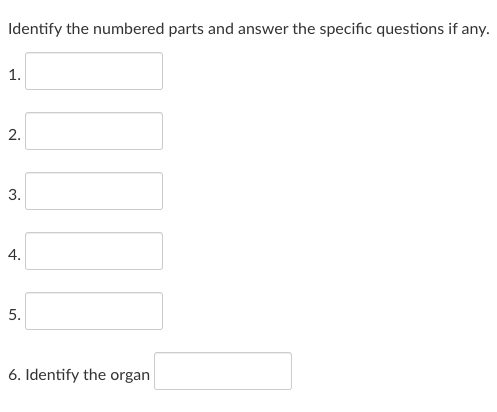Solved 2 1 5 Identify the numbered parts and answer the | Chegg.com
