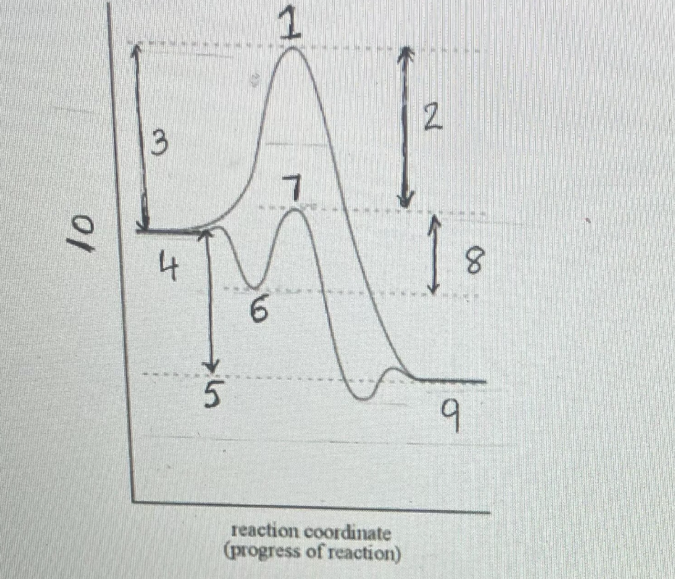 Solved (progress of reaction) | Chegg.com