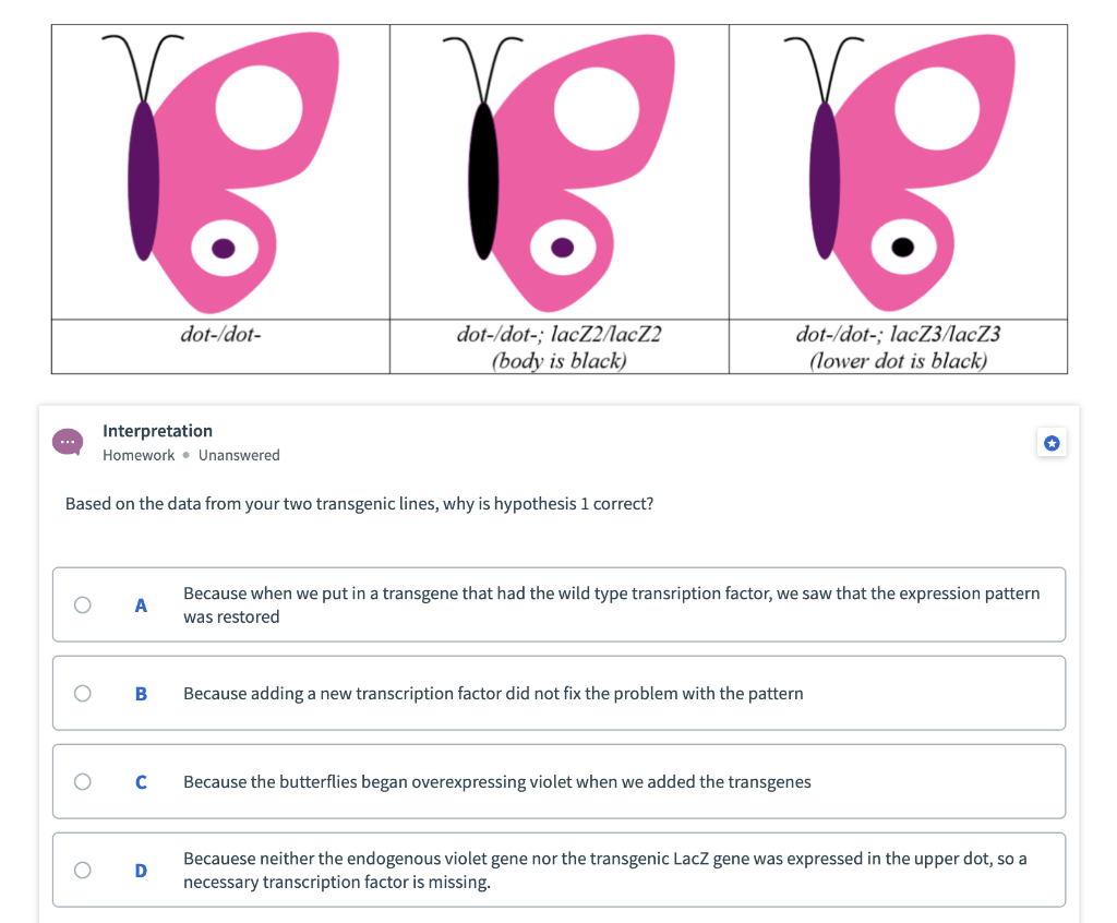 Solved In a fanciful species of butterfly, pigmentation | Chegg.com