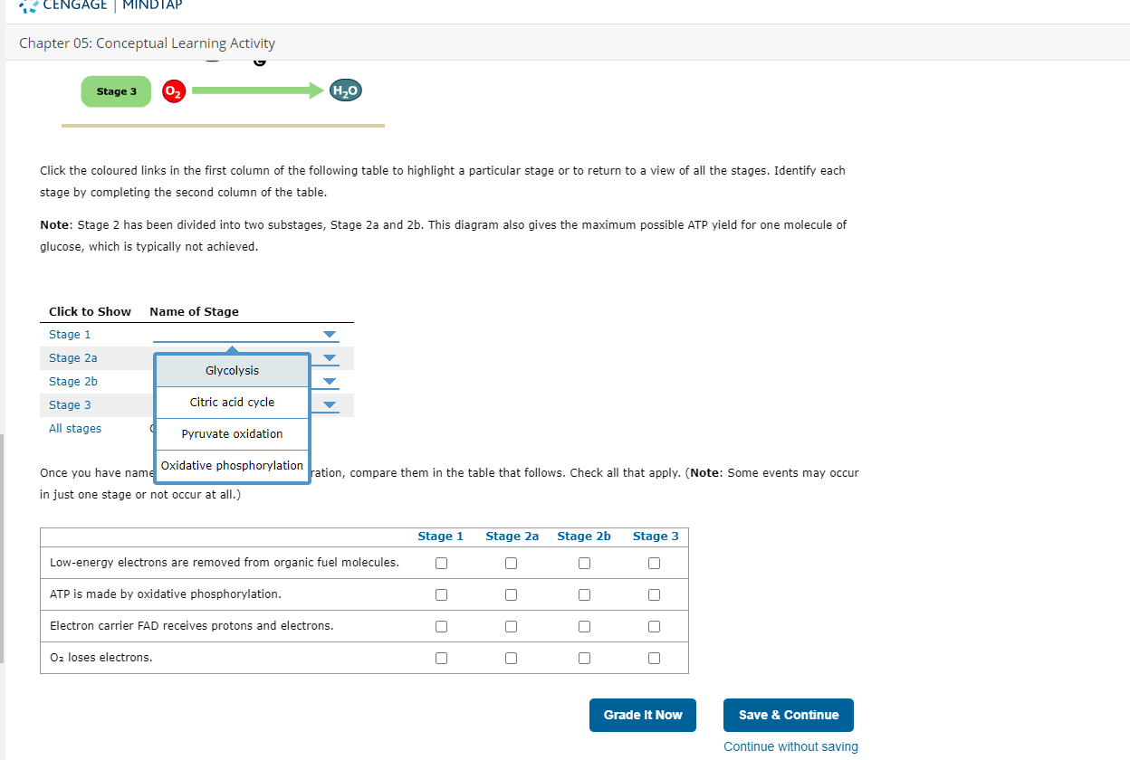 Solved 2. The major stages of cellular respiration Cellular | Chegg.com