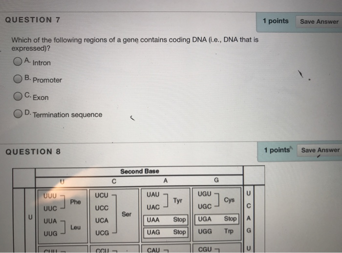 Solved which of the following regions of a gene contains | Chegg.com