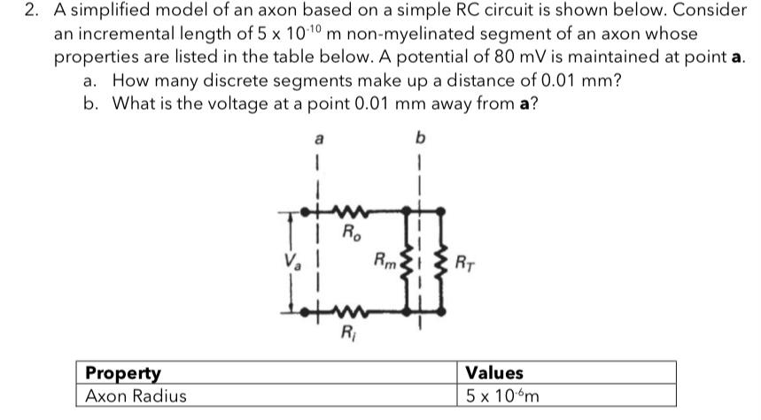 Solved 2. A simplified model of an axon based on a simple RC | Chegg.com