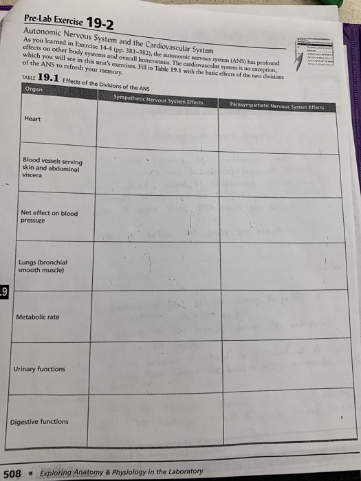 Solved Pre-Lab Exercise 19-2 Autonomic Nervous System and | Chegg.com