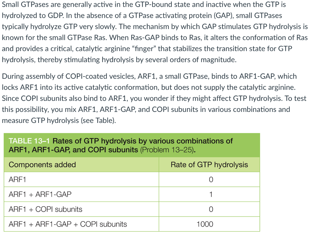 Solved Small GTPases are generally active in the GTP-bound | Chegg.com