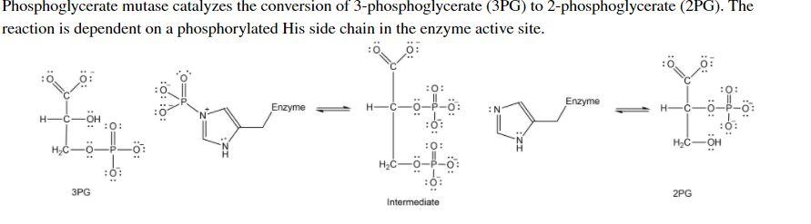 Solved Phosphoglycerate mutase catalyzes the conversion of | Chegg.com