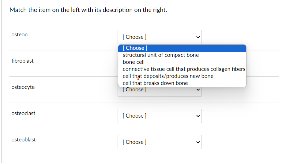 Solved Match the item on the left with its description on | Chegg.com