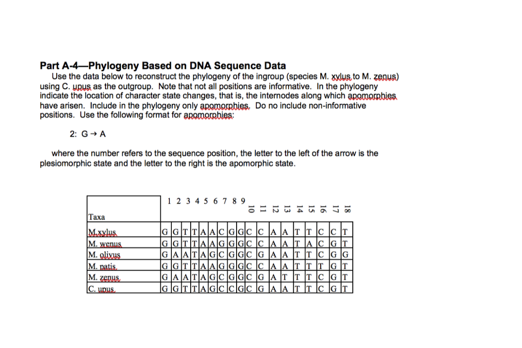 Solved Part A-4-Phylogeny Based on DNA Sequence Data Use the | Chegg.com